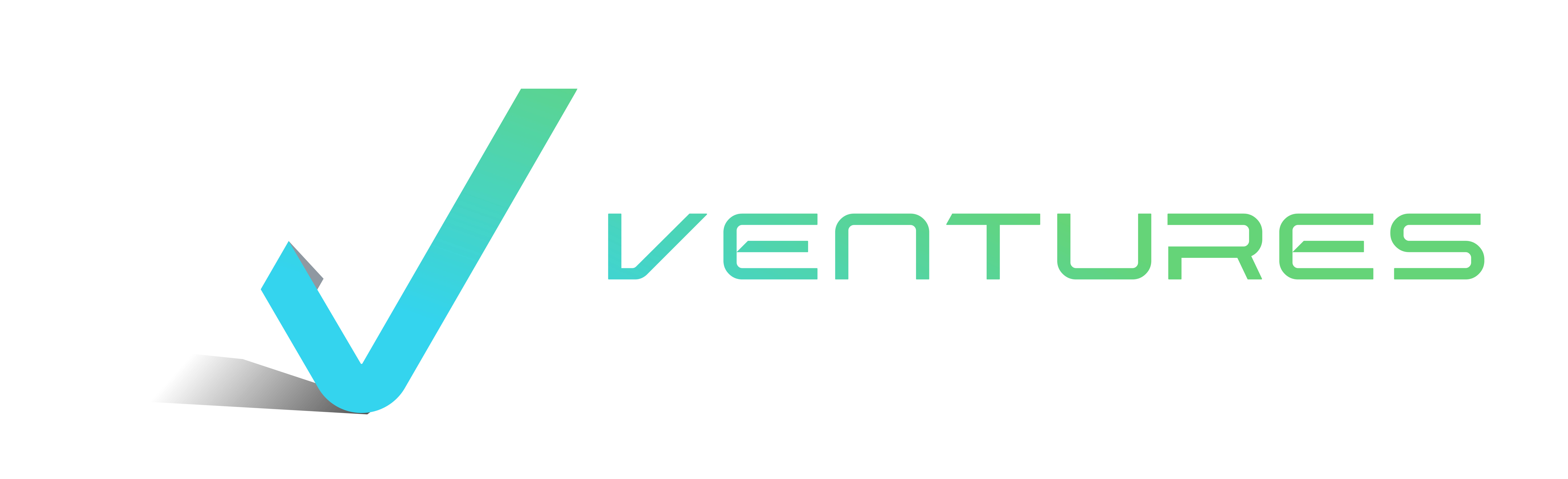 Tech Ventures Group – Strategic Advisory Services